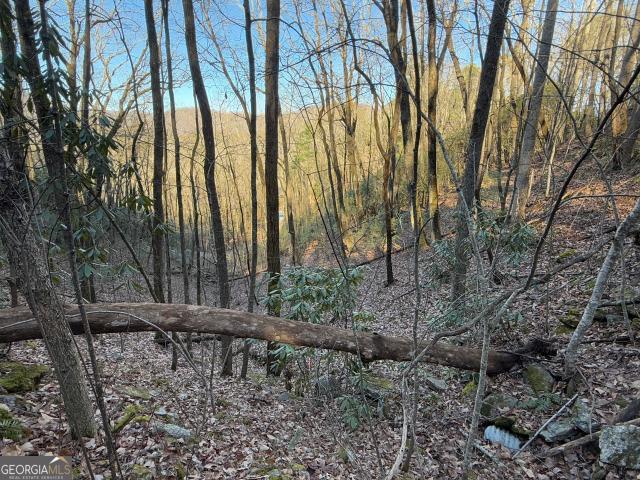 Arbutus Trail, Clayton, GA 30525 | MLS #10681