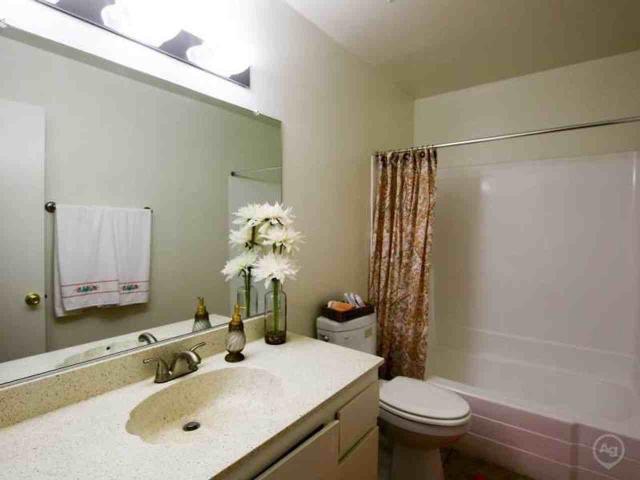 Arbor Park 1 Bedroom Apartment for Rent at 1219 N State College Blvd, Anaheim, CA 92806 East Anaheim