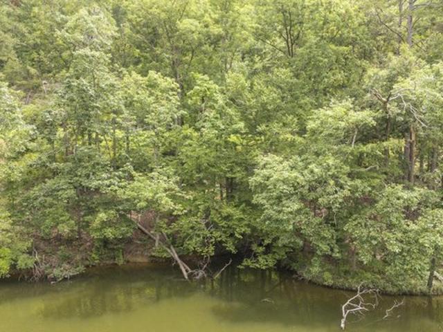 Arborwood Ln Lot 181, Savannah, TN 38372