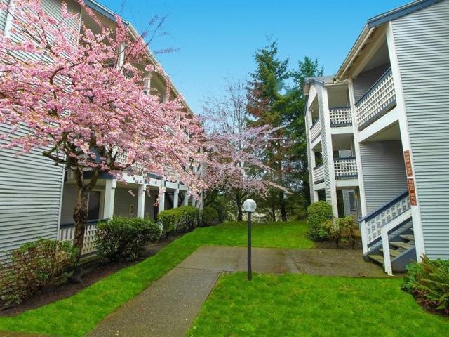 Arbour Court 3 Bedroom Apartment for Rent at 2225 S 112th St, Burien, WA 98168 Riverton Boulevard Park