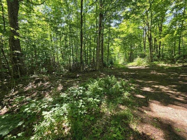 Arcadia Ln, Westmore, Plot For Sale