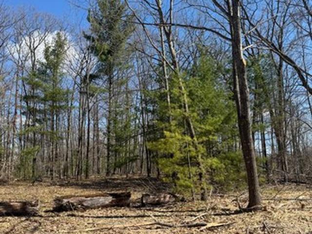 Archibald Lake Rd Lot 3, Townsend, WI 54175