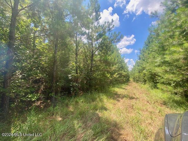 Archie Boyd Road, Jayess, MS 39641