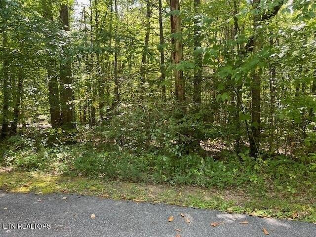 Ardell Way, Cosby, TN 37722