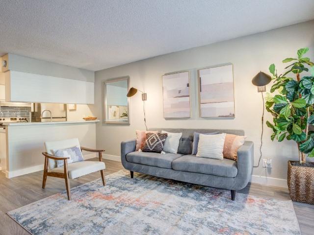 Ardella on 67th Studio Apartment for Rent at 6565 W Bethany Home Rd, Glendale, AZ 85301 O'Neil Ranch
