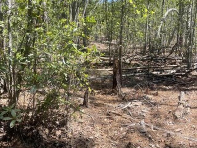 Arden St, Georgetown, Plot For Sale