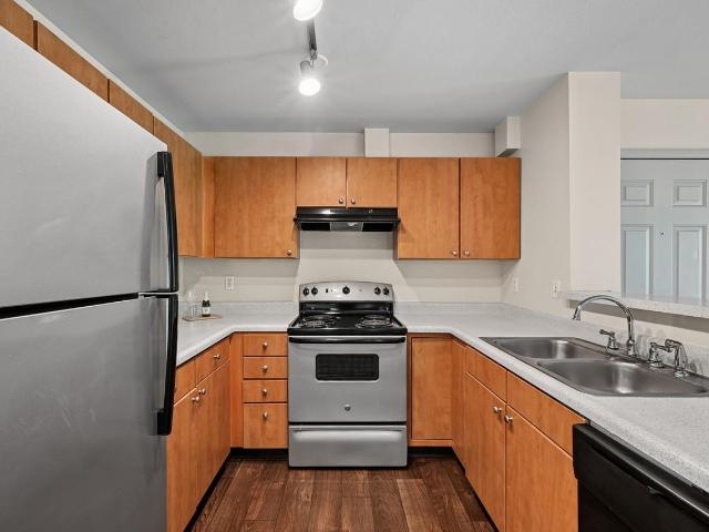 Ardenne 1 Bedroom Apartment for Rent at 601 Merlin Dr, Lafayette, CO 80026
