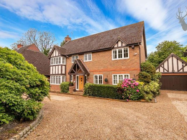 Ardmore Lane, Buckhurst Hill IG9, 5 bed property to rent, £4,750 pcm | PrimeLocation