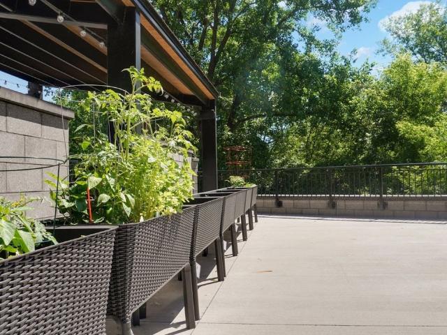 Ardor on the Bluffs South Loop Residences 1 Bedroom Apartment for Rent at 3701 American Blvd E, Bloomington, MN 55425 South Loop