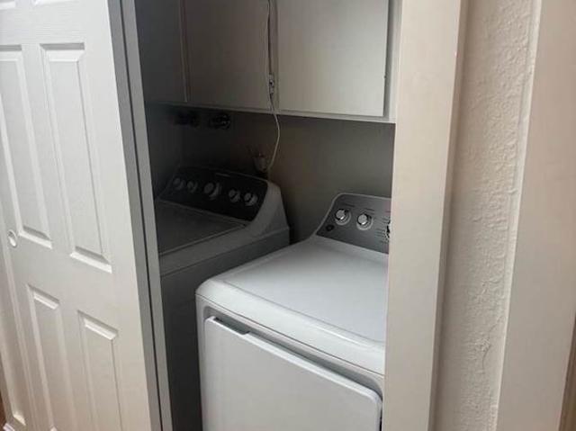 Are you still looking for a room to rent ?