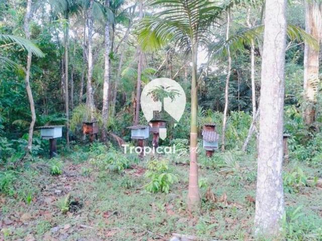 Área no Litoral Guaraguaçú Balneário Praia Leste PONTAL DO PARANÁ PR