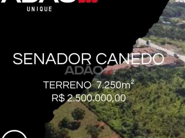 Área no Senador Canedo Área / Terreno à Venda, 7250.00 por R$ 2500000.00 no setor Sítios Vale das Br
