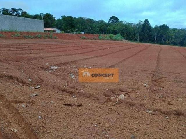 Área à venda, 1000 m² por R$ 300.000 Ipelândia Suzano/SP
