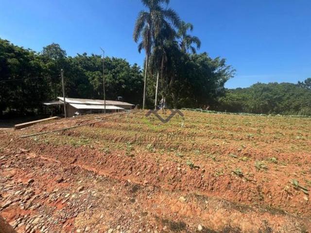 Área à venda, 114.075 m² por R$ 15.600.000 Fazenda Aya Suzano/SP
