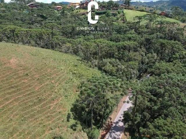 Área à venda, 116.000 m² em Campos do Jordão/SP