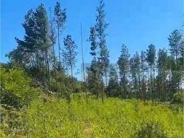 Área à venda, 11000 m² por R$ 300.000,00 Sítios Viamão/RS