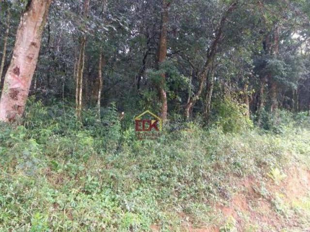Área à venda, 1440 m² Santo Antônio do Pinhal/SP