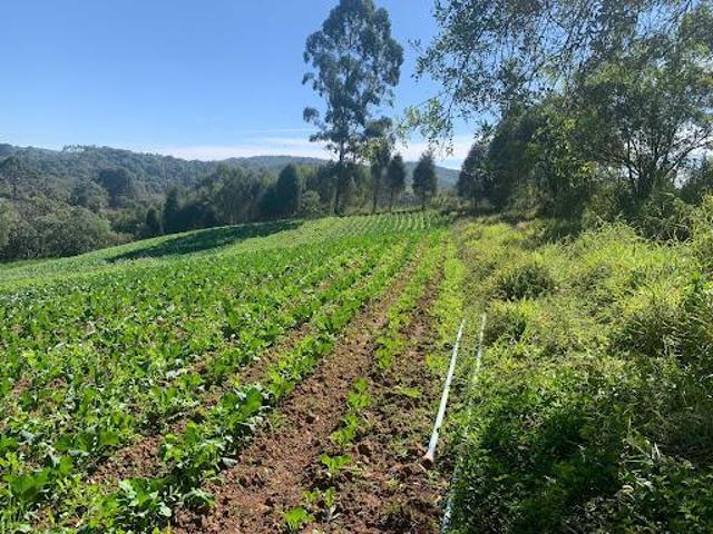 Área à venda, 15900 m² por R$ 390.000,00 Verava Ibiúna/SP
