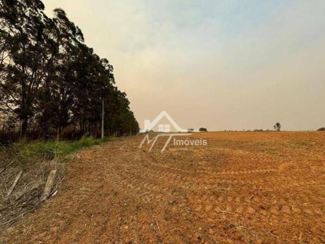Área à venda, 16000 m² por R$ 2.100.000 Chácara Cruzeiro do Sul Sumaré/SP