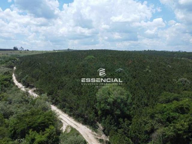 Área à venda, 1790800 m² por R$ 6.000.000,00 Zona Rural Anhembi/SP