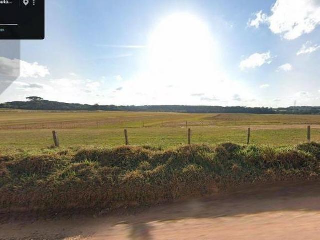Área à venda, 197510 m² por R$ 29.626.500,00 Miringuava São José dos Pinhais/PR