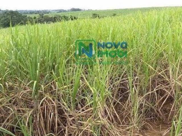 Área à venda, 193600 m² por R$ 11.500.000,00 Nova Suiça Piracicaba/SP