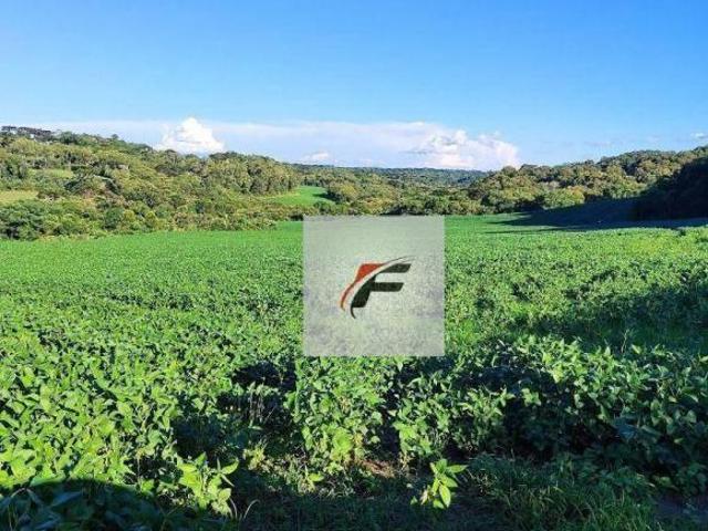Área à venda, 193600 m² por R$ 1.680.000,00 Centro Lapa/PR