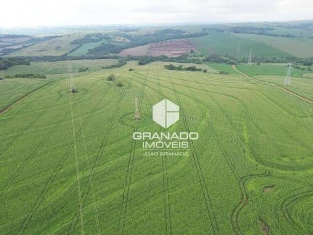Área à venda, 193600 m² por R$ 9.180.000,00 Ribeirão Morangueiro Maringá/PR
