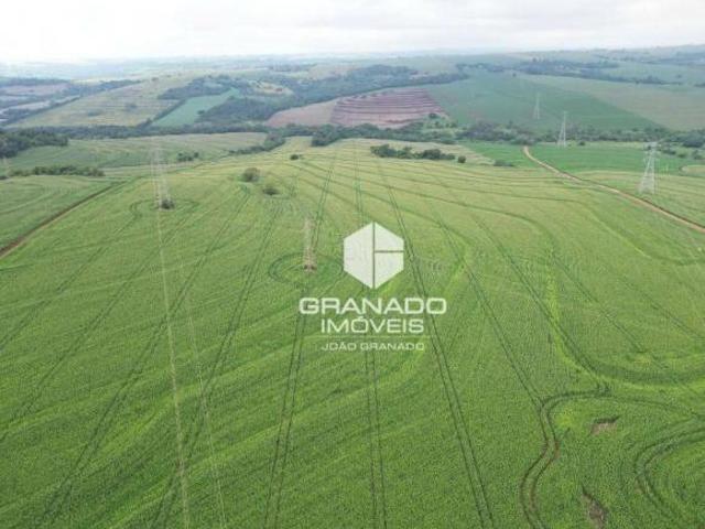 Área à venda, 193600 m² por R$ 9.180.000,00 Ribeirão Morangueiro Maringá/PR