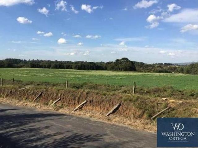 Área à venda, 20500 m² por R$ 2.829.000,00 Campo Largo da Roseira São José dos Pinhais/PR