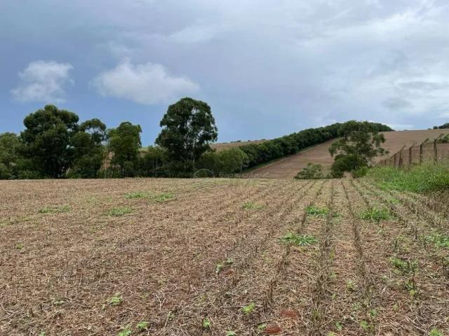 Área à venda, 20935 m² por R$ 700.000,00 Trevo Jarinu/SP