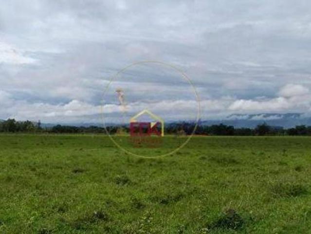 Área à venda, 20000 m² por R$ 500.000,00 Cruz Pequena Pindamonhangaba/SP