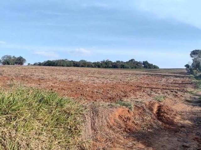 Área à venda, 20000 m² por R$ 600.000,00 Iara Atibaia/SP