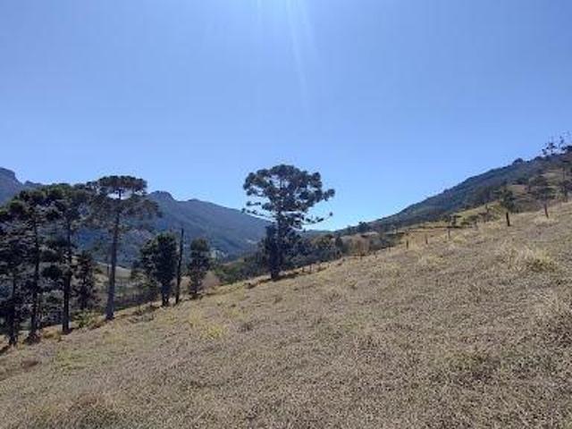 Área à venda, 20000 m² por R$ 1.290.000,00 Baú São Bento do Sapucaí/SP