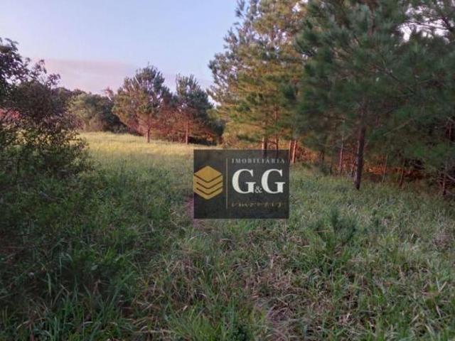 Área à venda, 20000 m² por R$ 212.000,00 Itapuã Viamão/RS