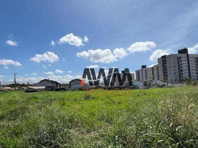 Área à venda, 2010 m² por R$ 1.100.000,00 Vila Alzira Aparecida de Goiânia/GO