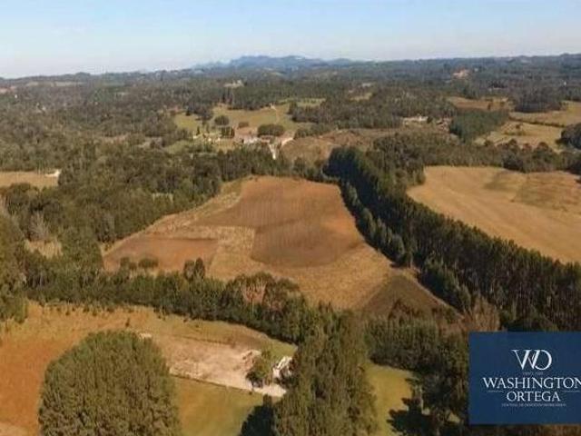 Área à venda, 20135 m² por R$ 1.610.800,00 Campo Largo da Roseira São José dos Pinhais/PR