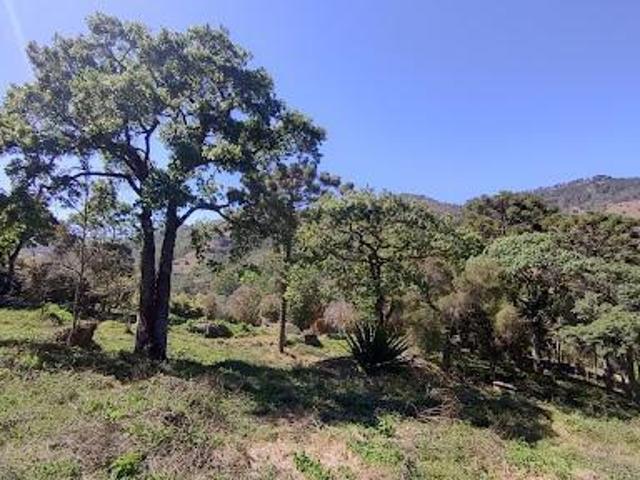 Área à venda, 21000 m² por R$ 1.200.000,00 Baú São Bento do Sapucaí/SP
