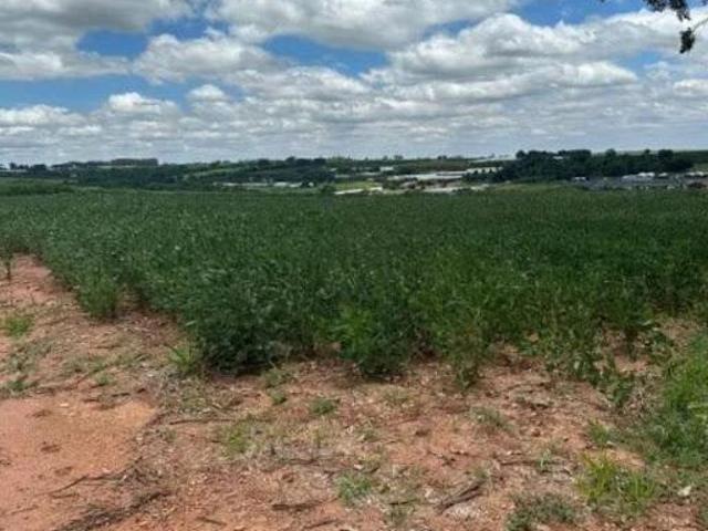 Área à venda, 25000 m² por R$ 1.450.000,00 Parque Industrial Batistela Artur Nogueira/SP