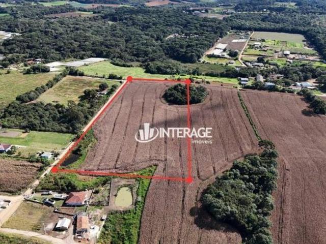 Área à venda, 26000 m² por R$ 4.680.000,00 Campina Do Taquaral São José dos Pinhais/PR