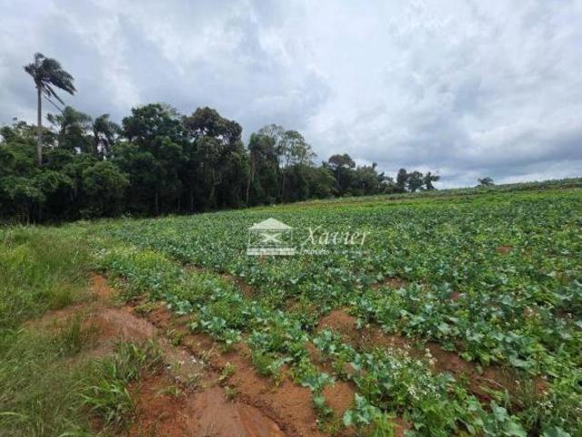 Área à venda, 26000 m² por R$ 702.000 Aguassaí Cotia/SP
