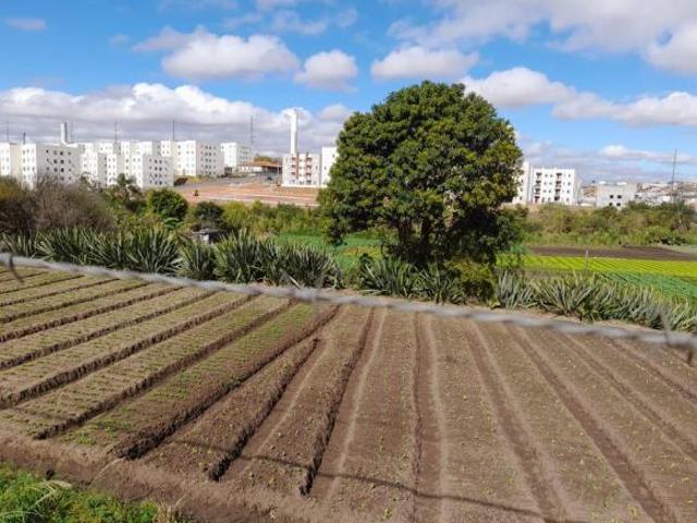 Área à venda, 28625 m² por R$ 14.600.000,00 Jardim Chácara Méa Suzano/SP