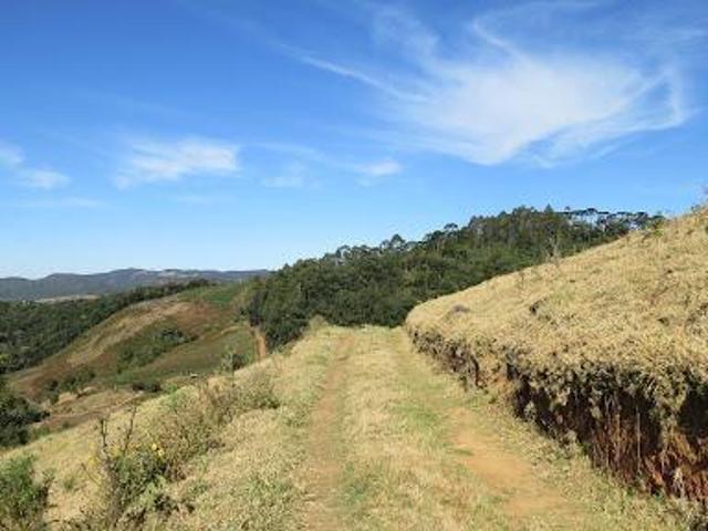 Área à venda, 28000 m² por R$ 450.000,00 Costas Gonçalves/MG