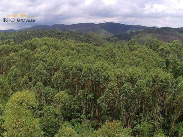 Área à venda, 290400 m² por R$ 1.200.000,00 Centro Santa Branca/SP