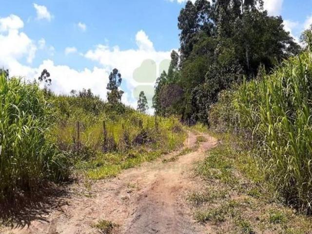 Área à venda, 307000 m² por R$ 11.000.000,00 Ponte Alta Atibaia/SP