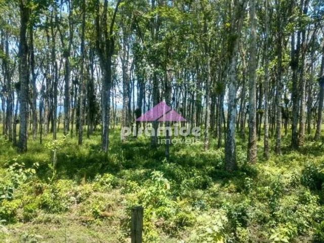 Área à venda, 30000 m² por R$ 1.990.000,00 Pegorelli Caraguatatuba/SP