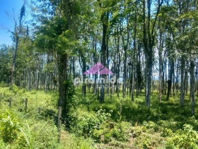 Área à venda, 30000 m² por R$ 1.990.000,00 Pegorelli Caraguatatuba/SP
