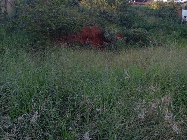 Área à venda, 300 m² por R$ 150.000 Robert Kenndy Itatiaiuçu/MG