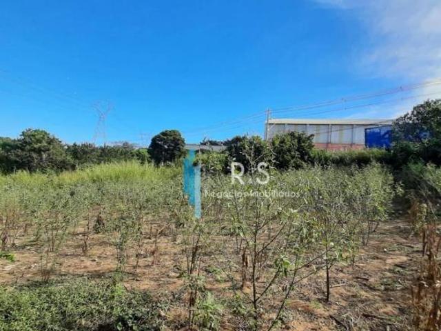 Área à venda, 3702 m² por R$ 3.600.000,00 Leitão Louveira/SP
