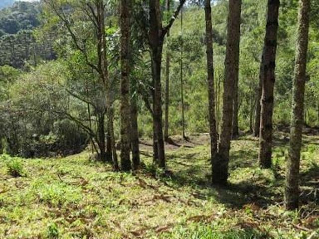 Área à venda, 38000 m² por R$ 430.000,00 Paiol Sapucaí Mirim/MG